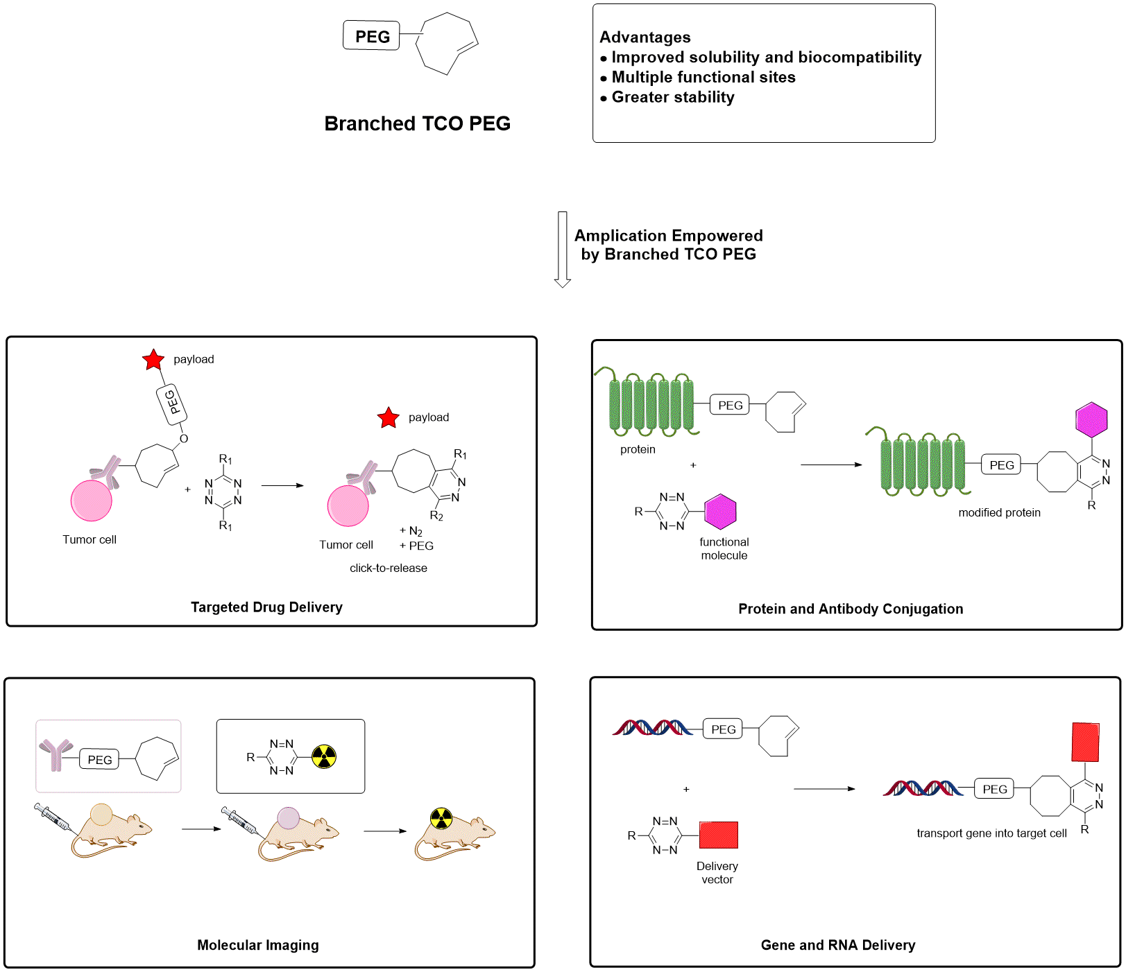 Exploring the Versatility of Click Chemistry TCO Products: Application – Precise PEG