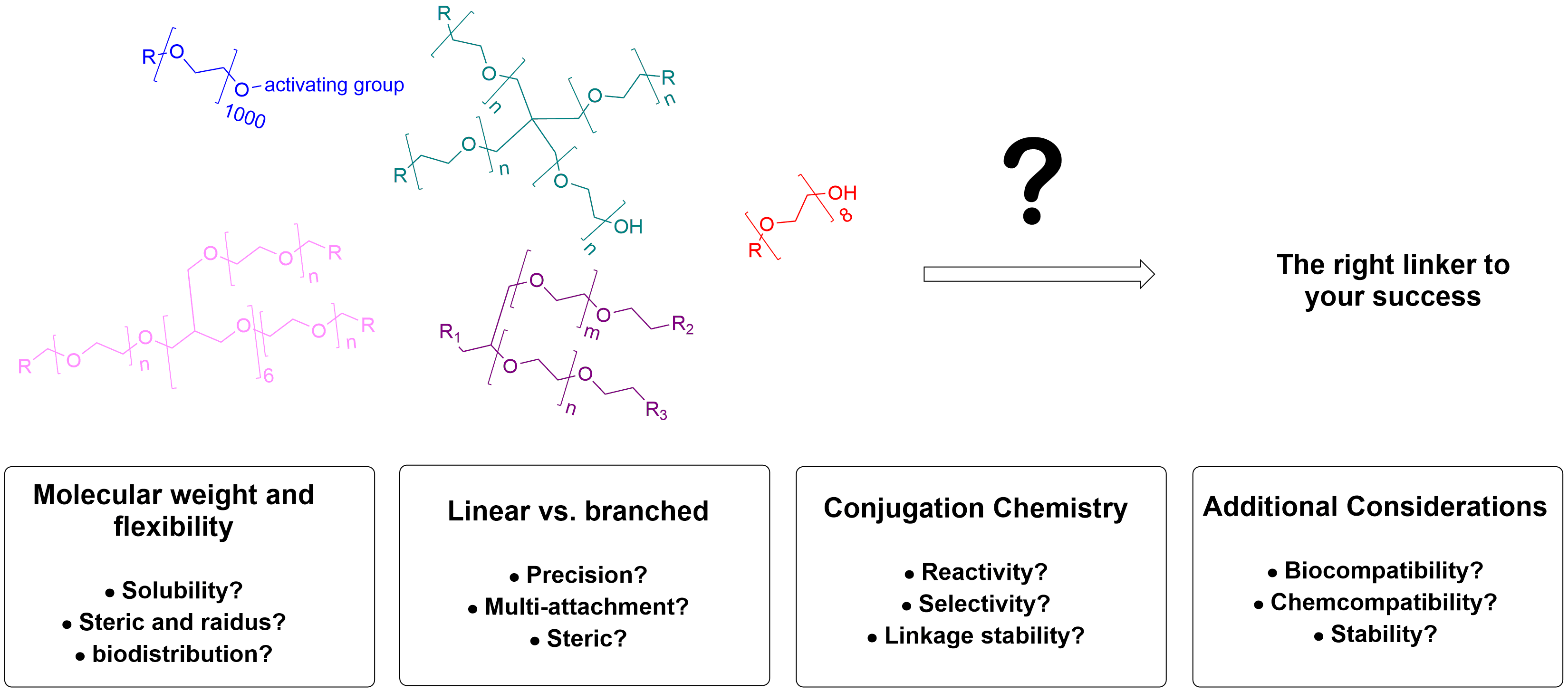How to Choose the Right PEG Linker for Your Research and Applications – Precise PEG
