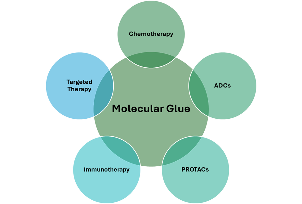 Unlocking the Future of Molecular Glues: Strategies for Discovery, Opt – Precise PEG