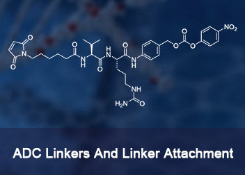 ADC Linker Chemistry & PEG Linkers - High-Quality ADC Linkers – Precise PEG