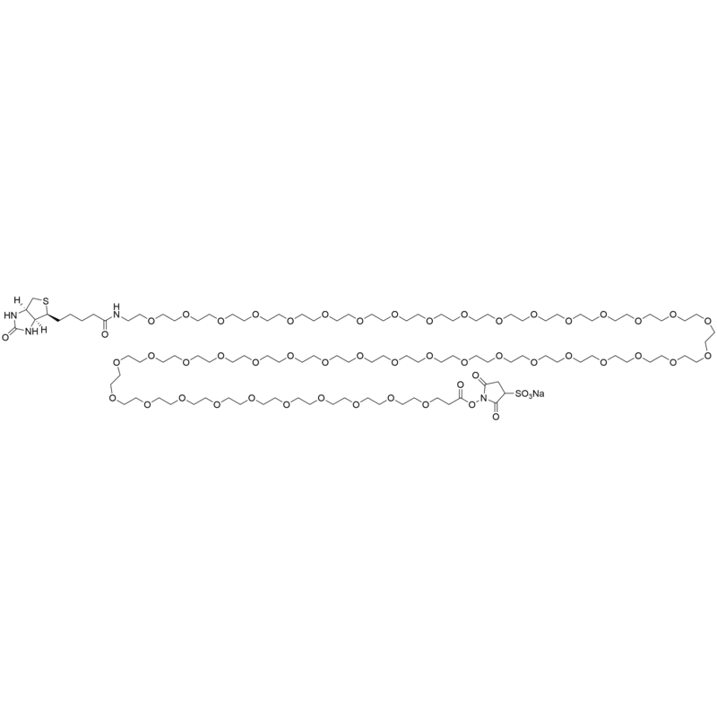 Biotin-PEG45-Sulfo NHS Ester – Precise PEG