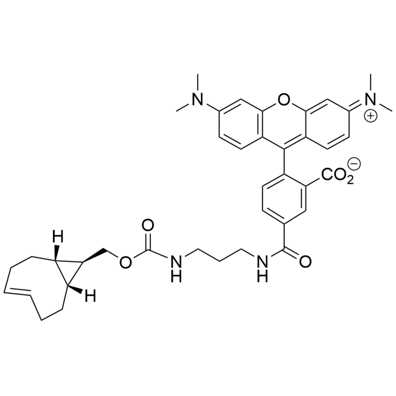TAMRA-DAP-s-TCO – Precise PEG