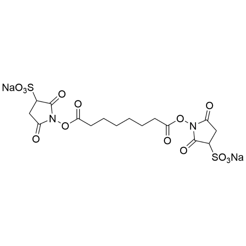 BS3 Crosslinker (disodium) – Precise PEG