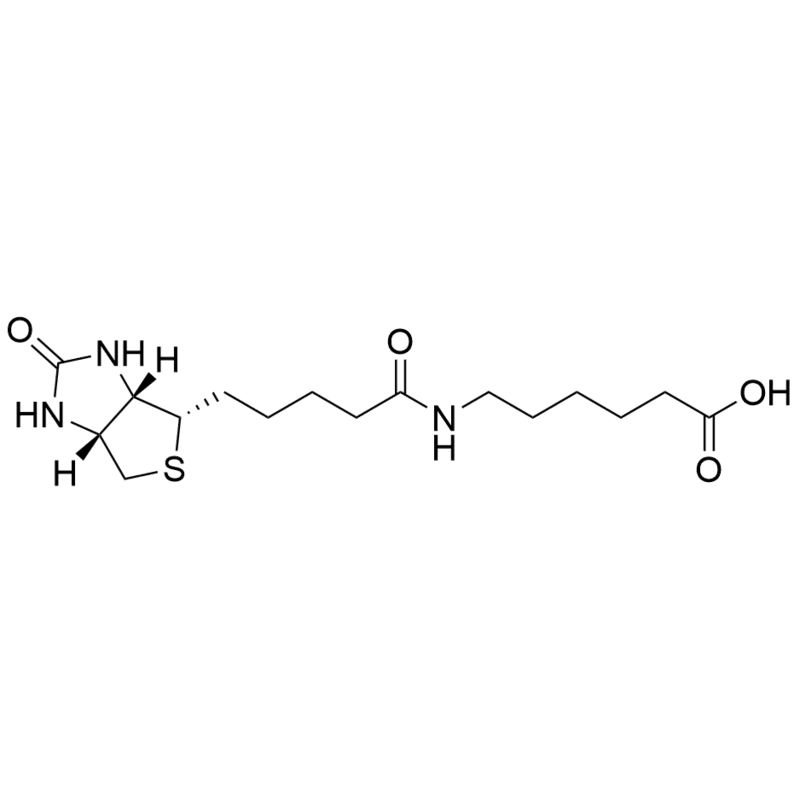 Biotin-LC – Precise PEG