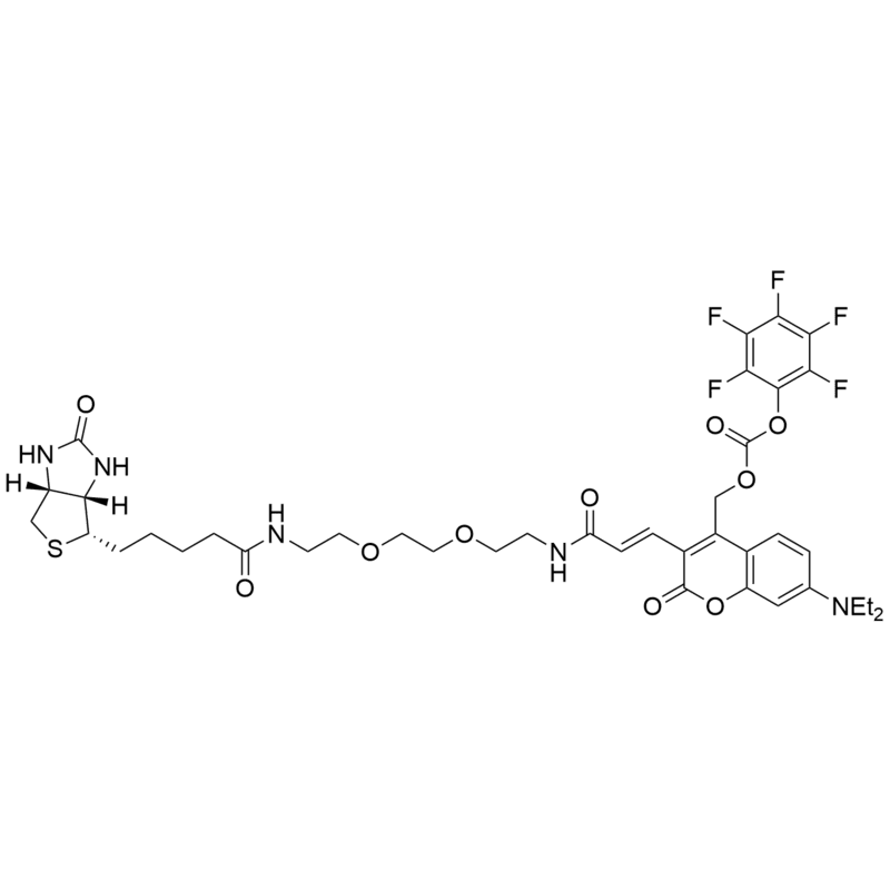 Biotin-PEG2-Coumarin-PFP carbonate – Precise PEG