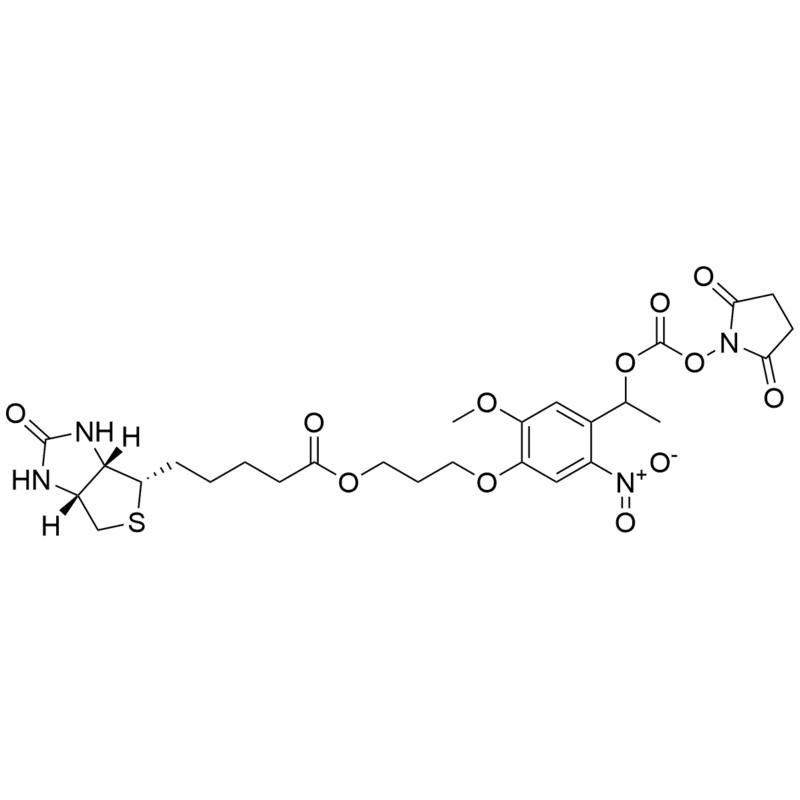 PC Biotin Ester – Precise PEG