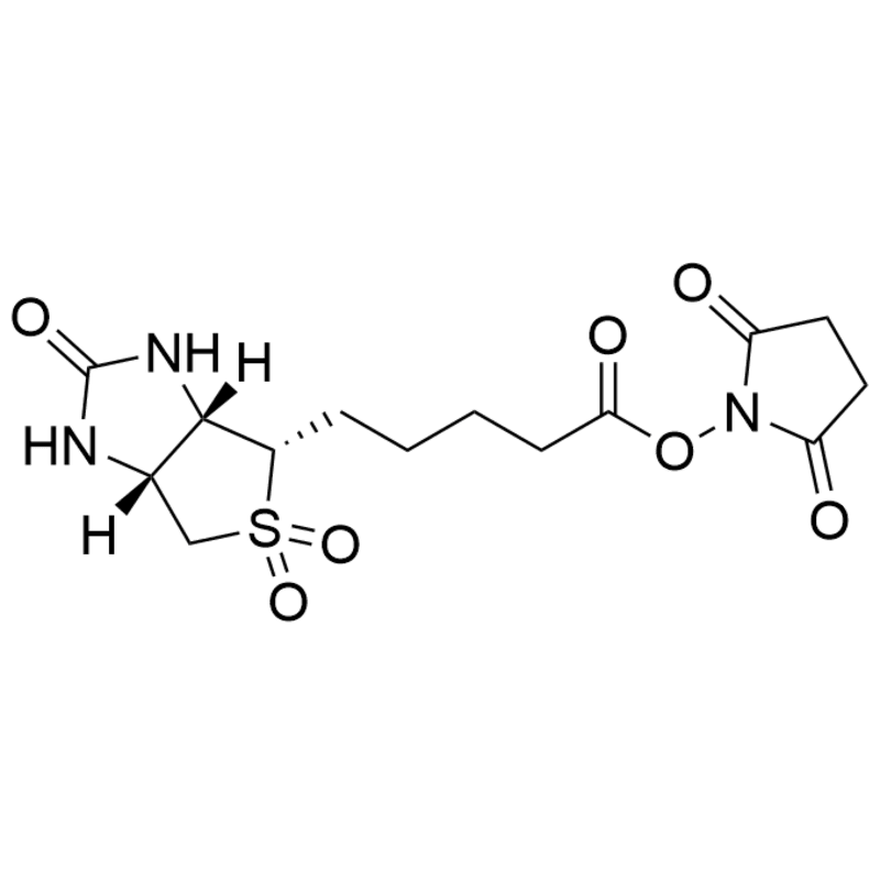 Biotin Sulfone NHS Ester – Precise PEG