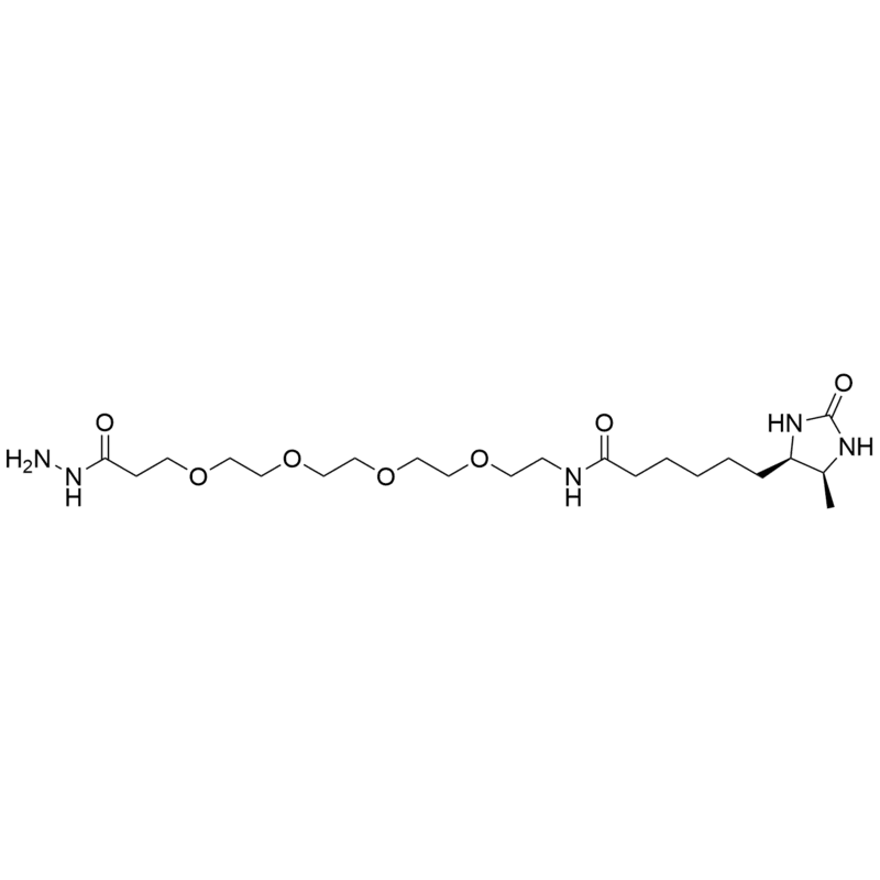 Desthiobiotin-PEG4-Hydrazide – Precise PEG