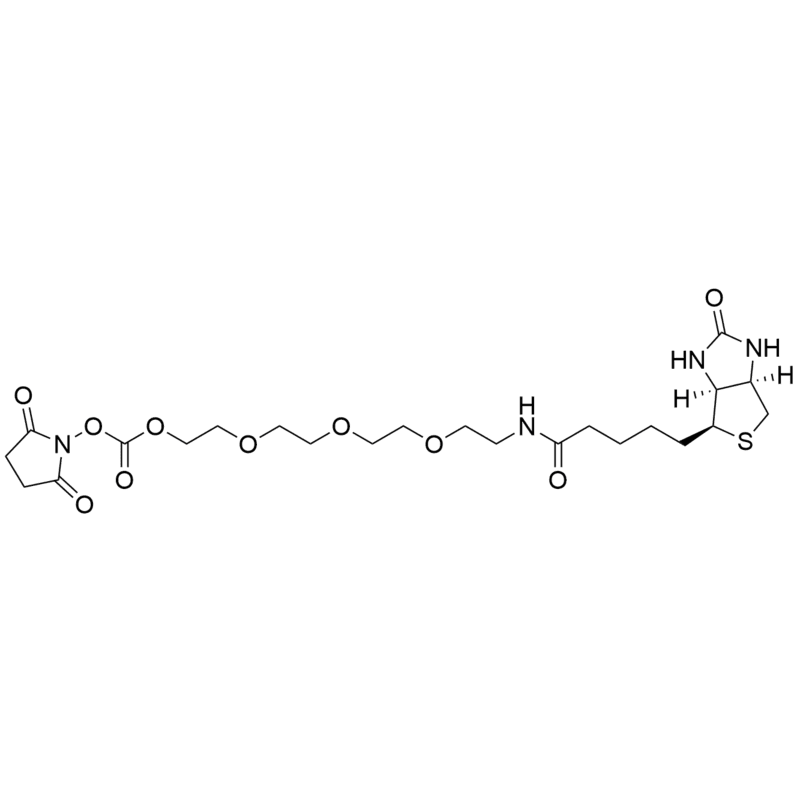 Biotin-PEG3-NHS Carbonate – Precise PEG