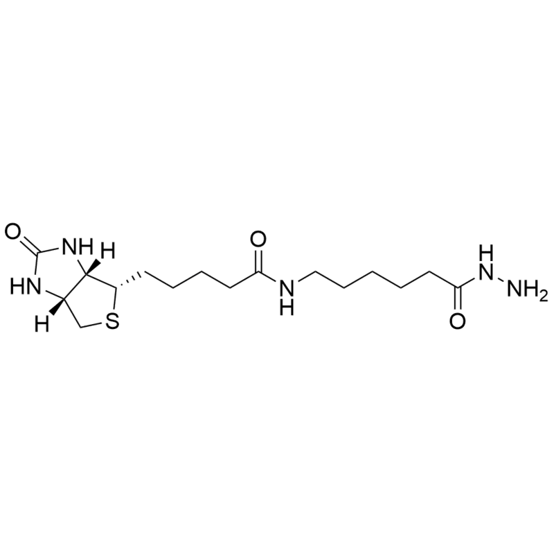 Biotin LC hydrazide – Precise PEG