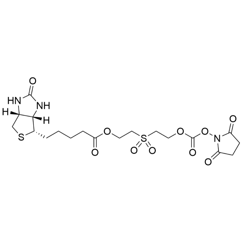 Biotin-BHES-NHS carbonate – Precise PEG