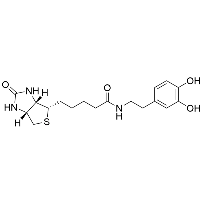 N-Biotinyl dopamine – Precise PEG