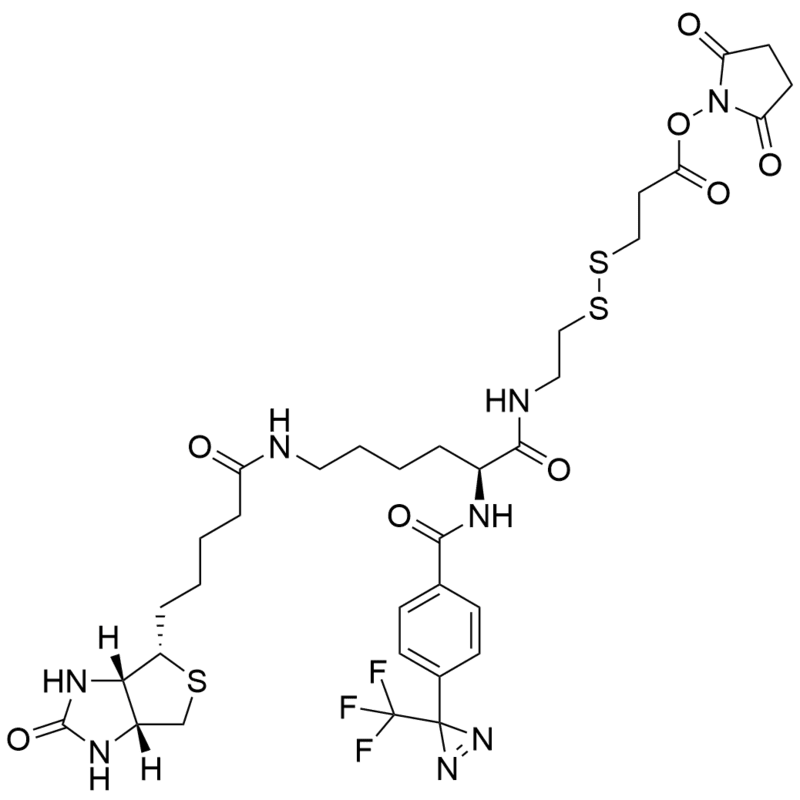 4-(CF3-Diazirine)-Bz-Lys(Biotin)-SS-NHS Ester – Precise PEG