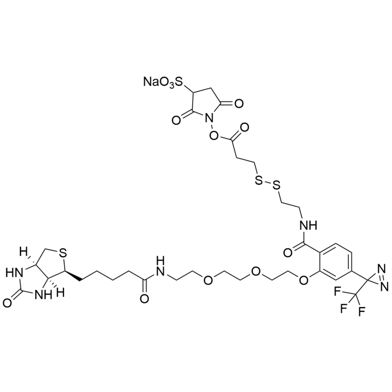 4-(CF3-Diazirine)-3-(PEG2-Biotin)-Bz-SS-Sulfo-NHS Ester – Precise PEG