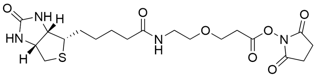 Biotin-PEG1-NHS Ester – Precise PEG