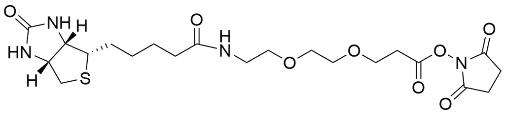 Biotin-PEG2-NHS Ester – Precise PEG