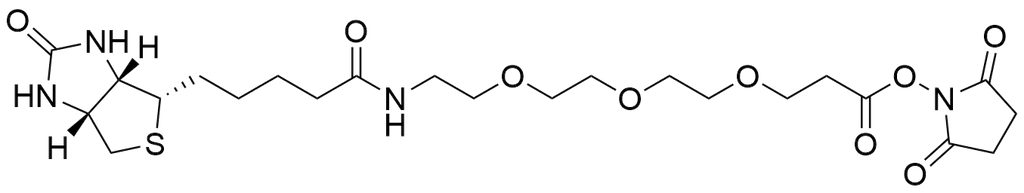 Biotin-PEG3-NHS Ester – Precise PEG