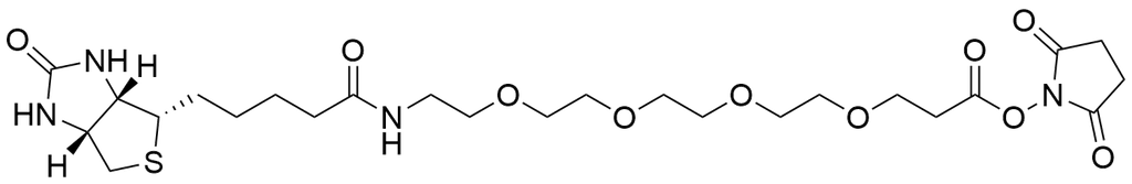 Biotin-PEG4-NHS Ester – Precise PEG