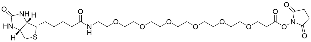 Biotin-PEG6-NHS Ester – Precise PEG