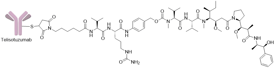 Antibody–Drug Conjugates Approved by FDA Through 2025 – Precise PEG LLC