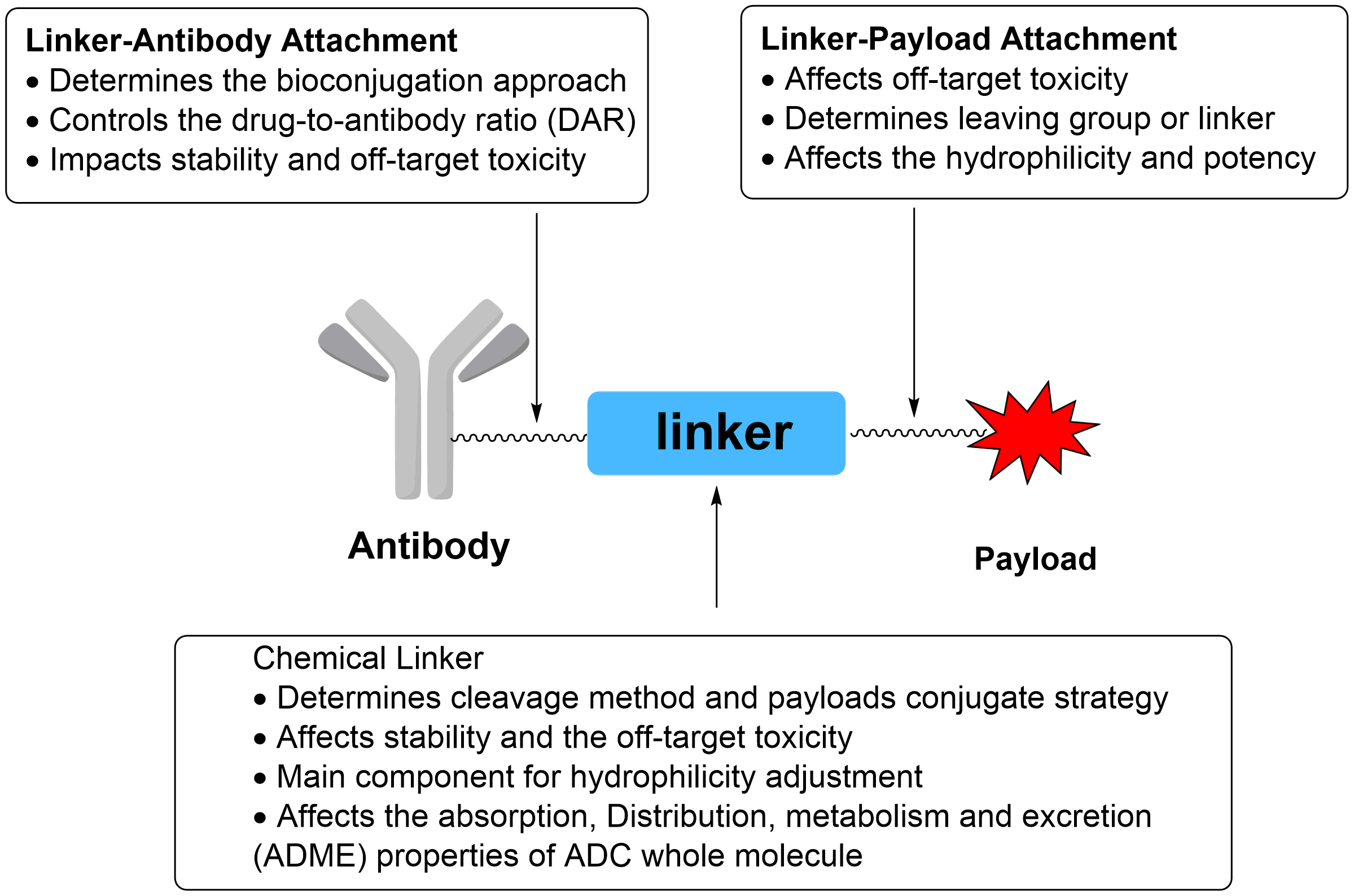 How to Select the Optimal Linker-Payload for Your Research Project ...