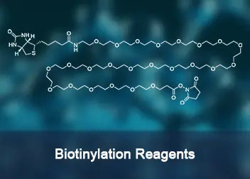 Biotinylation Reagents | Labeling Tools for Bioassay – Precise PEG LLC