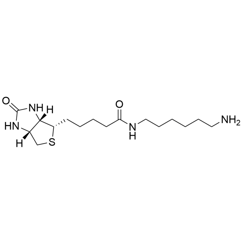 N-Biotinyl-1,6-hexanediamine – Precise PEG